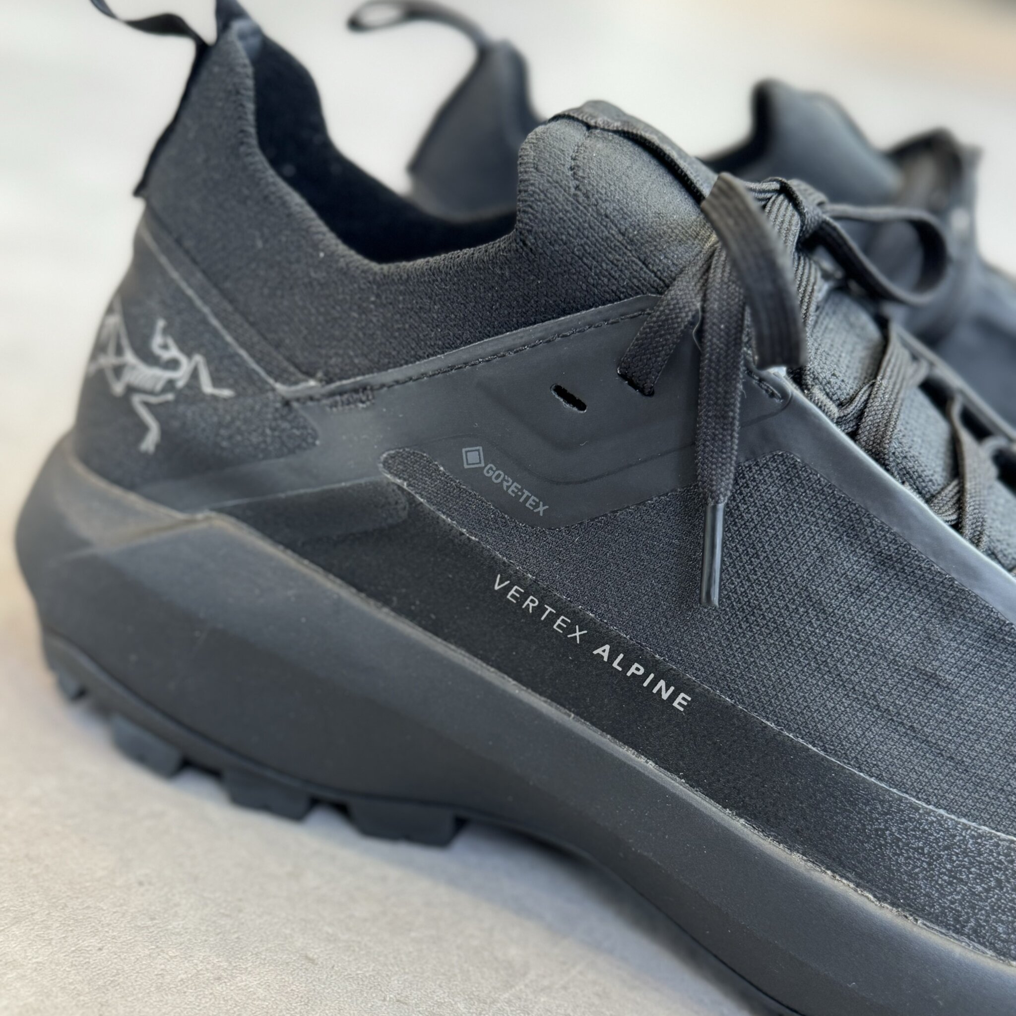 ARC’TERYX / VERTEX ALPINE GTX - W/